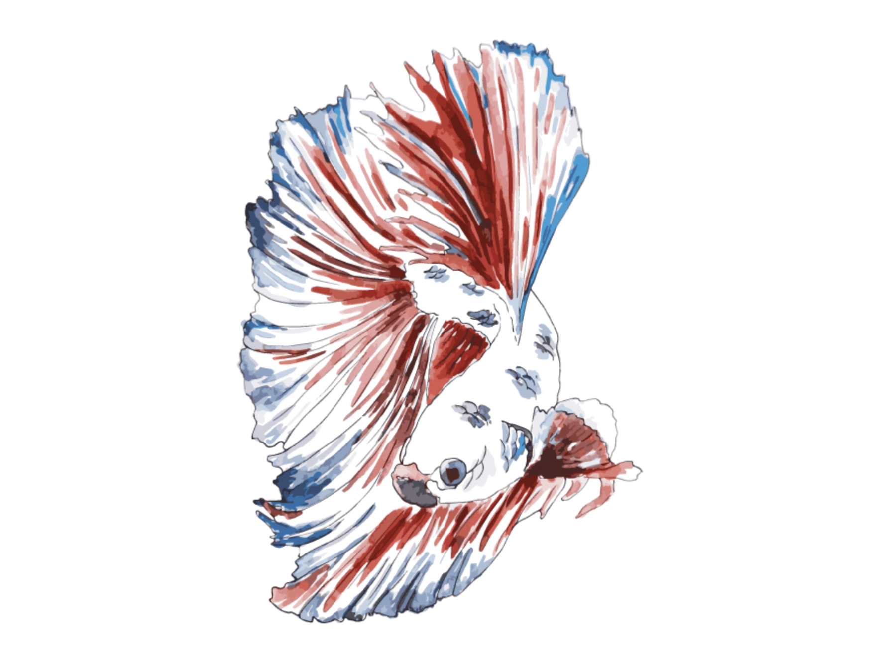 Scientific Illustrator – Communicating and understanding science via ...